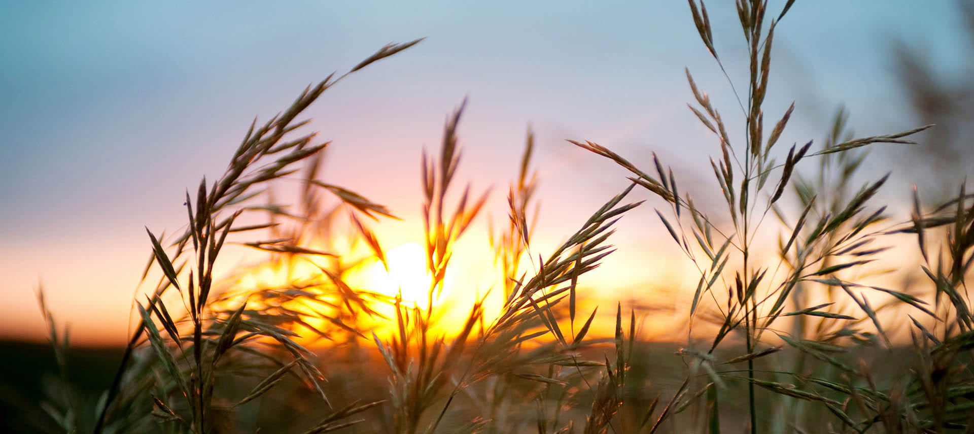 Sentinel Wealth Group - San Angelo, TX