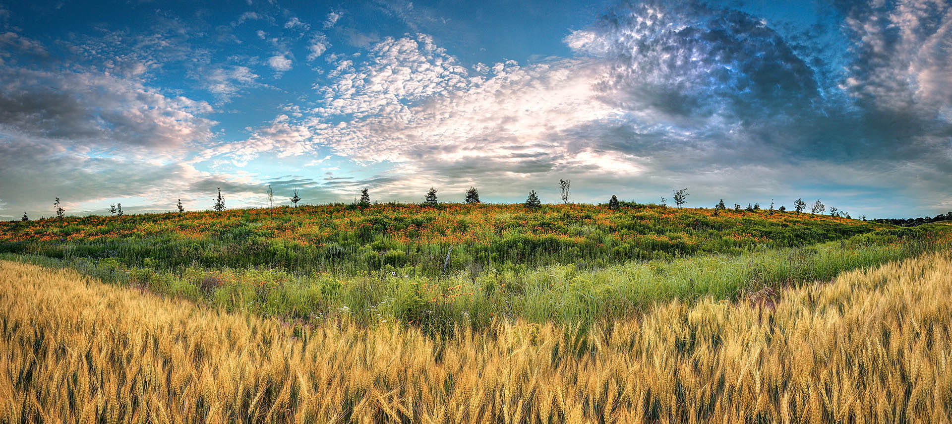 Investment Strategies - Sentinel Wealth Group - San Angelo, TX