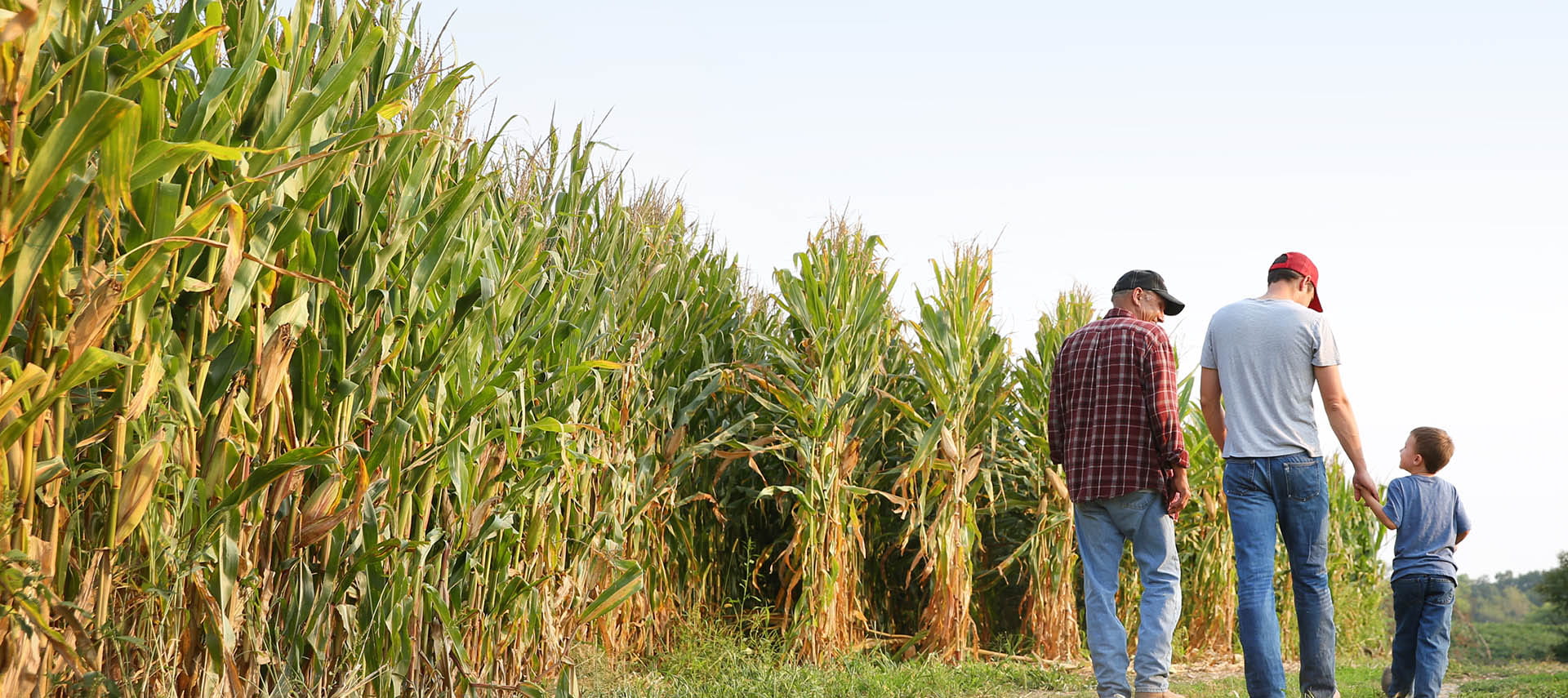 Contact Us - Sentinel Wealth Group - San Angelo, TX