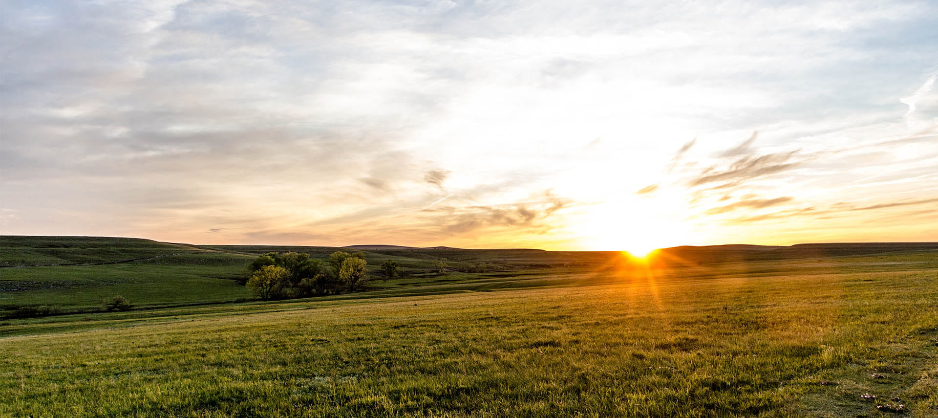 Our Team - Sentinel Wealth Group - San Angelo, TX